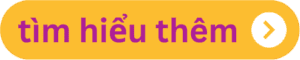 AVSE TESOL | Teaching English in Vietnam or Cambodia